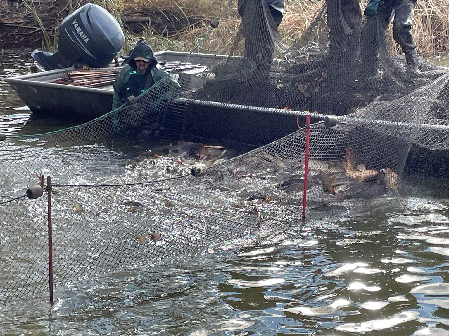 2022 Carp Removal - Alexandria Lake Area Sanitary District